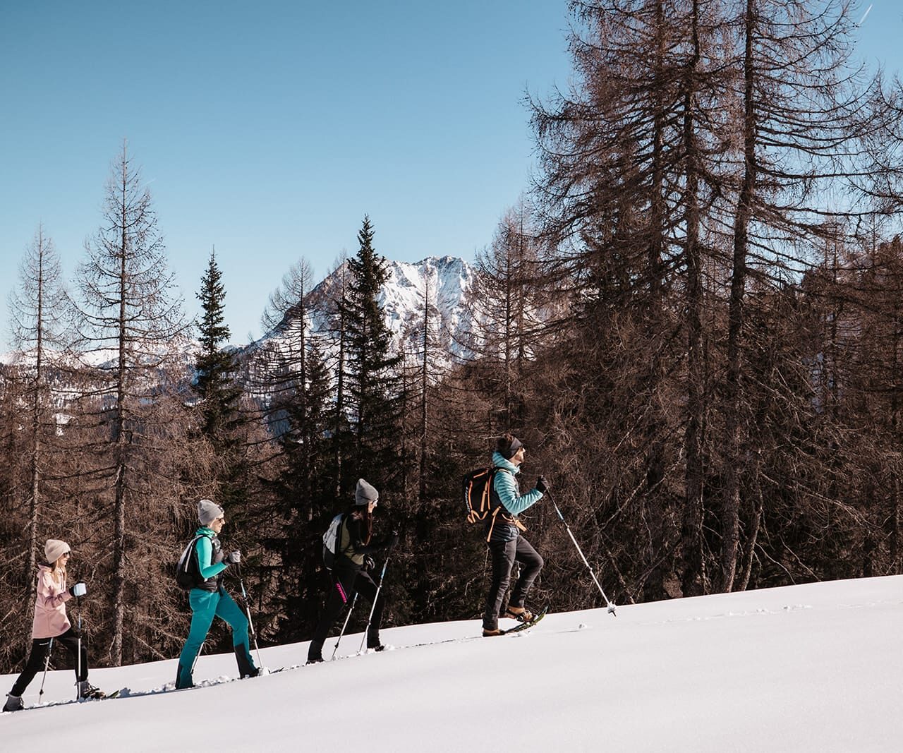 Erleben im Winterurlaub HOFGUT Apartments Wagrain I Ski&mehr